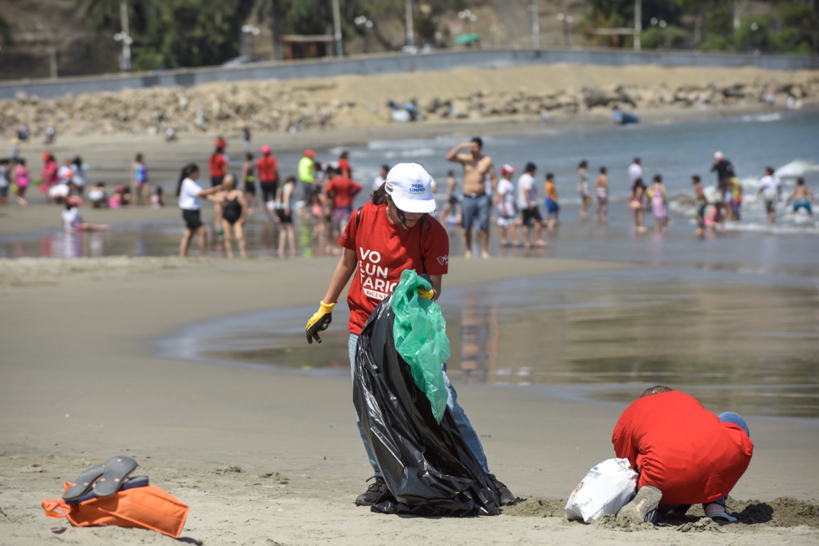 Voluntarios del Bicentenario se unen a campañas de cuidado del ambiente ...